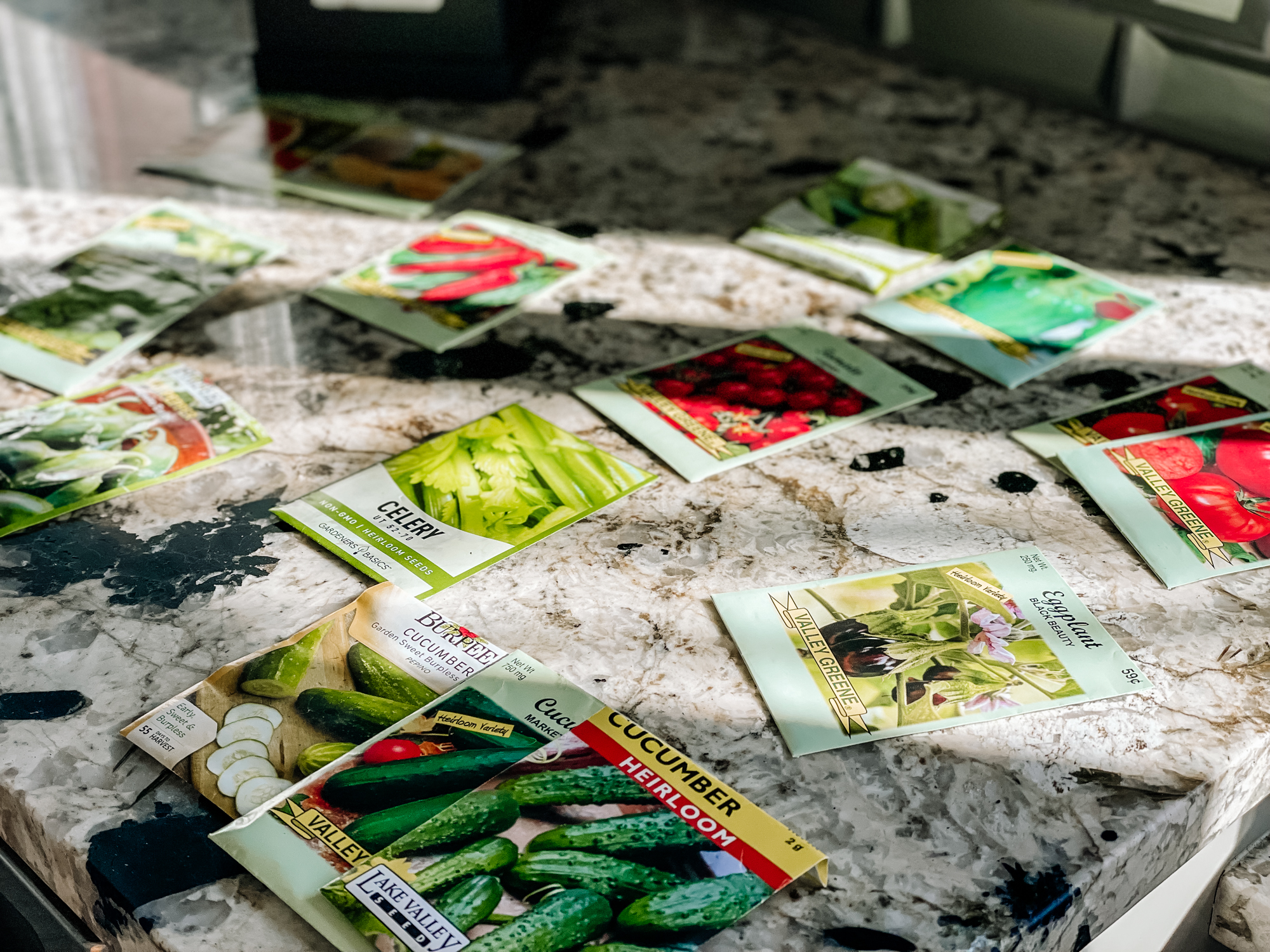 How to Plant Seeds Indoors for Your Vegetable Garden - Beneath the Maple