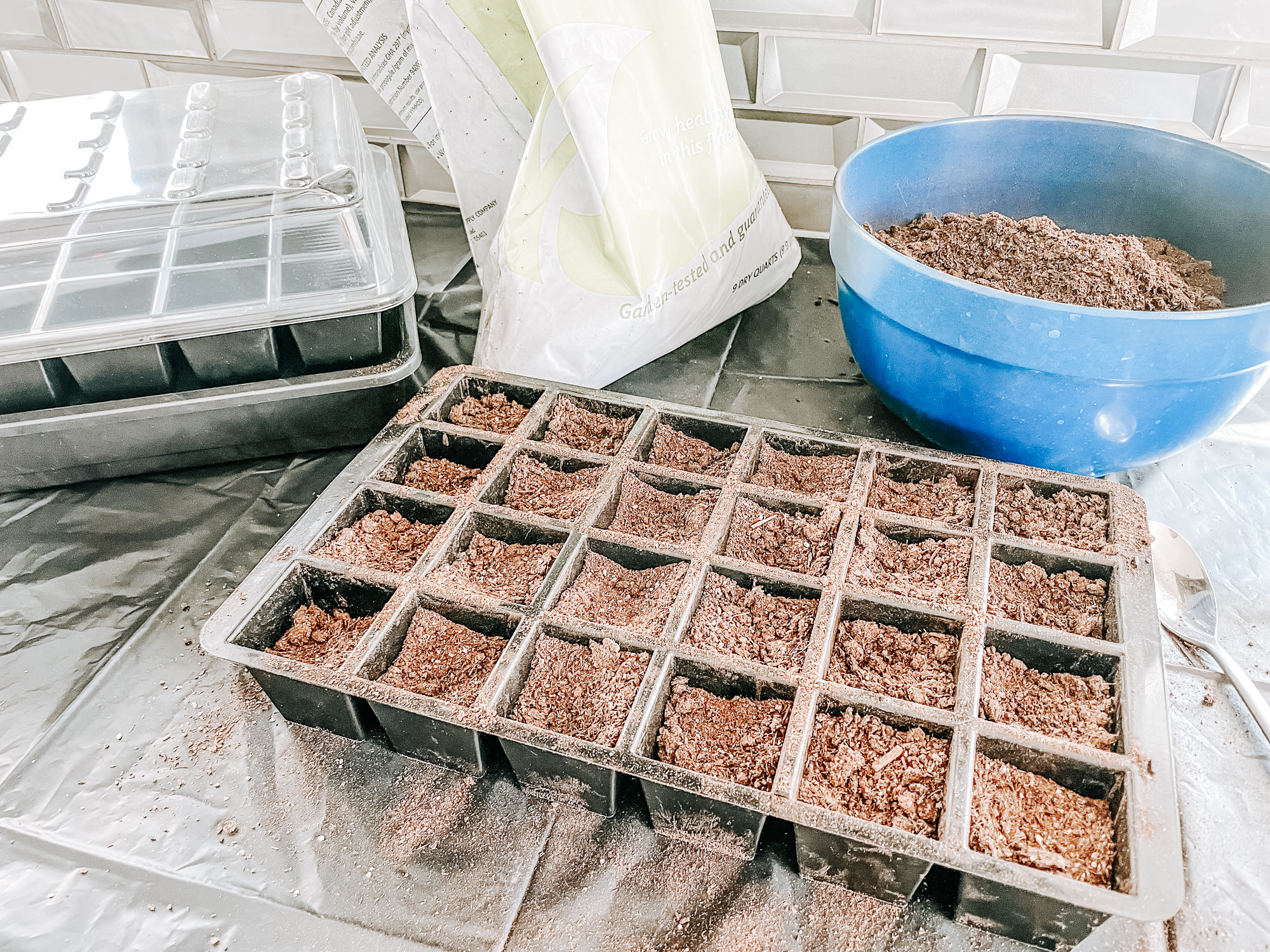 How to Plant Seeds Indoors for Your Vegetable Garden - Beneath the Maple