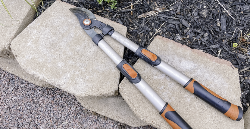 Gardening Supply Guide: Your Top 10 Must-Have Garden Tools - Beneath ...